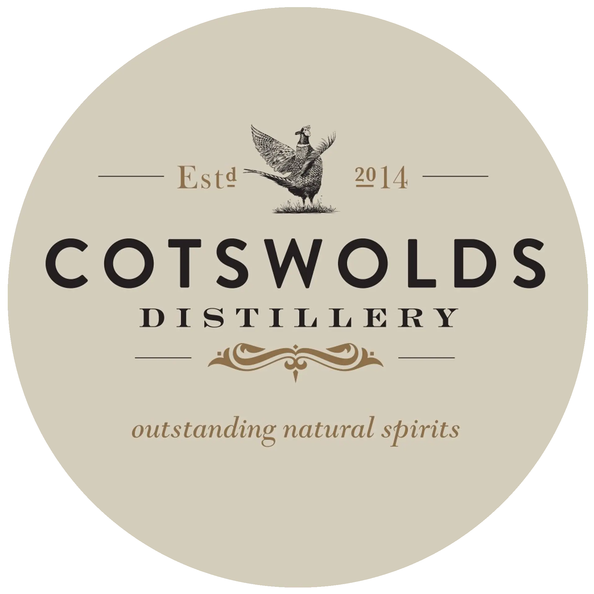 INOV8 Studios - Create Content That Sells!